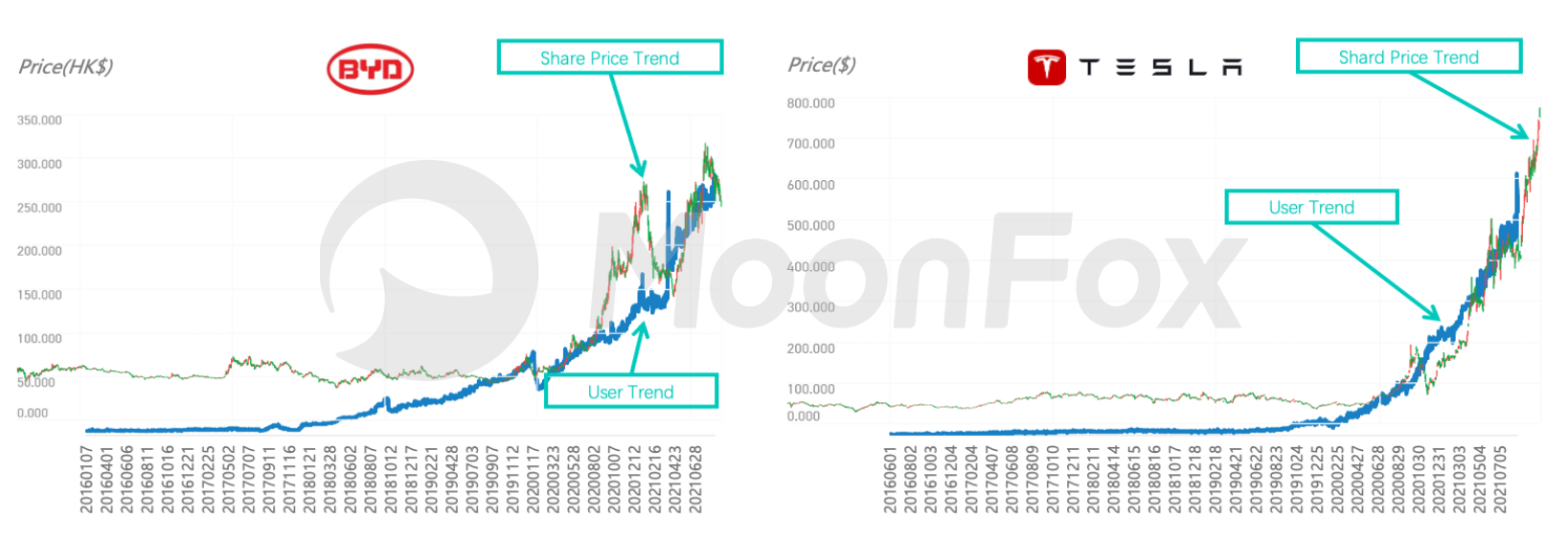 MoonFox Data Insights June 2024
